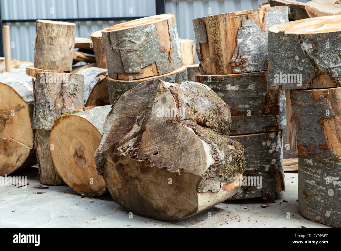Fire wood stumps pile, ready for cracking, winter is coming, background ...