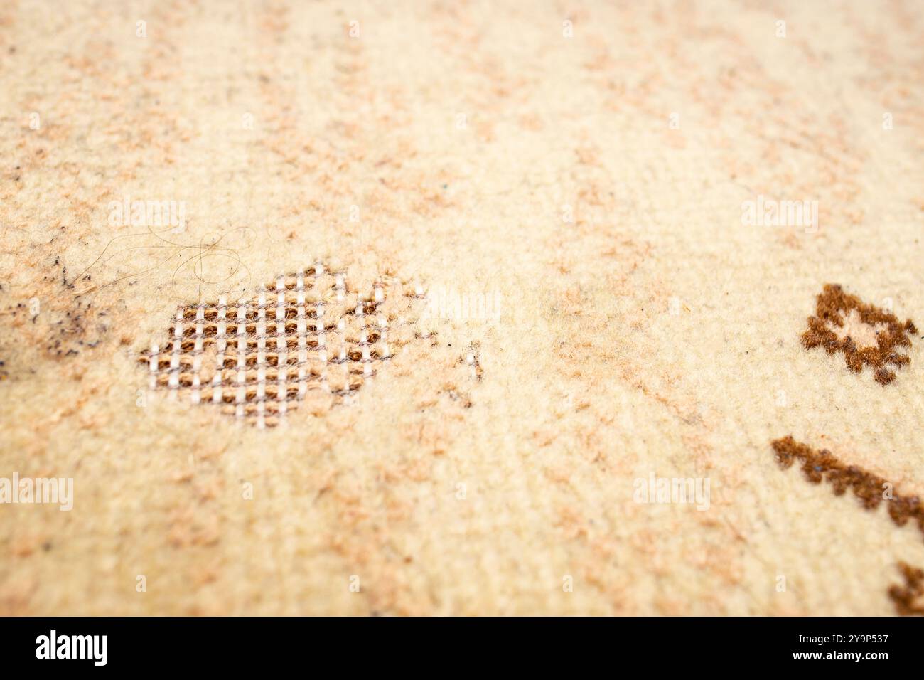 Infestation pattern hi-res stock photography and images - Alamy