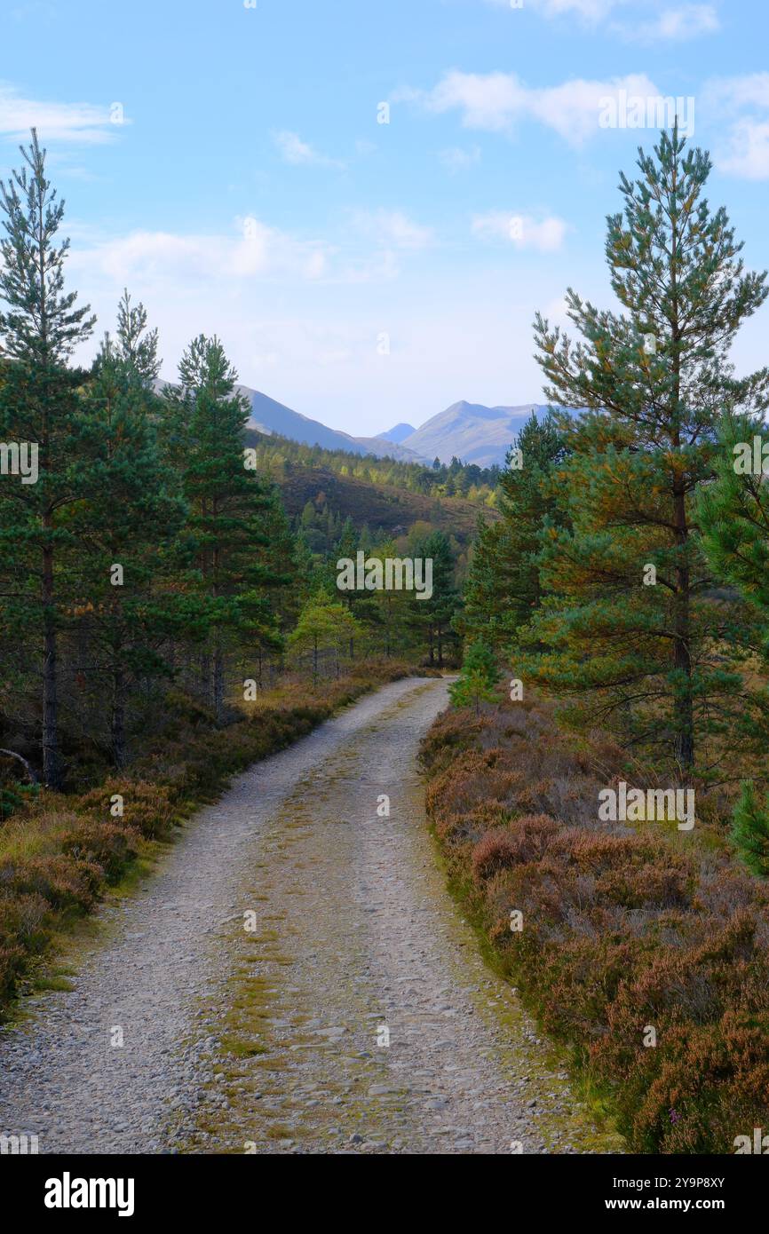 Loch Affric, Glen Affric, Scotland Stock Photo - Alamy