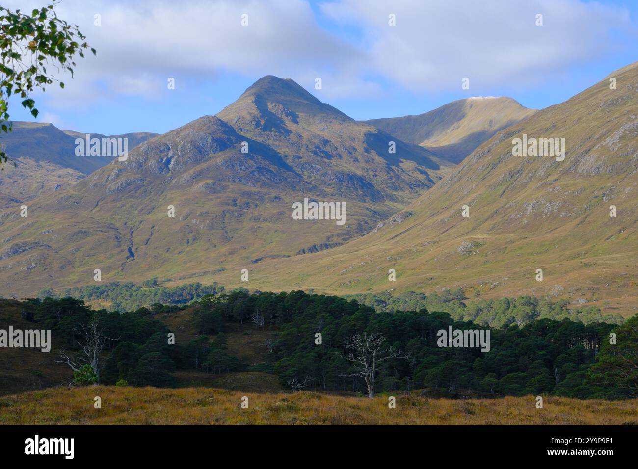 Loch Affric, Glen Affric, Scotland Stock Photo - Alamy