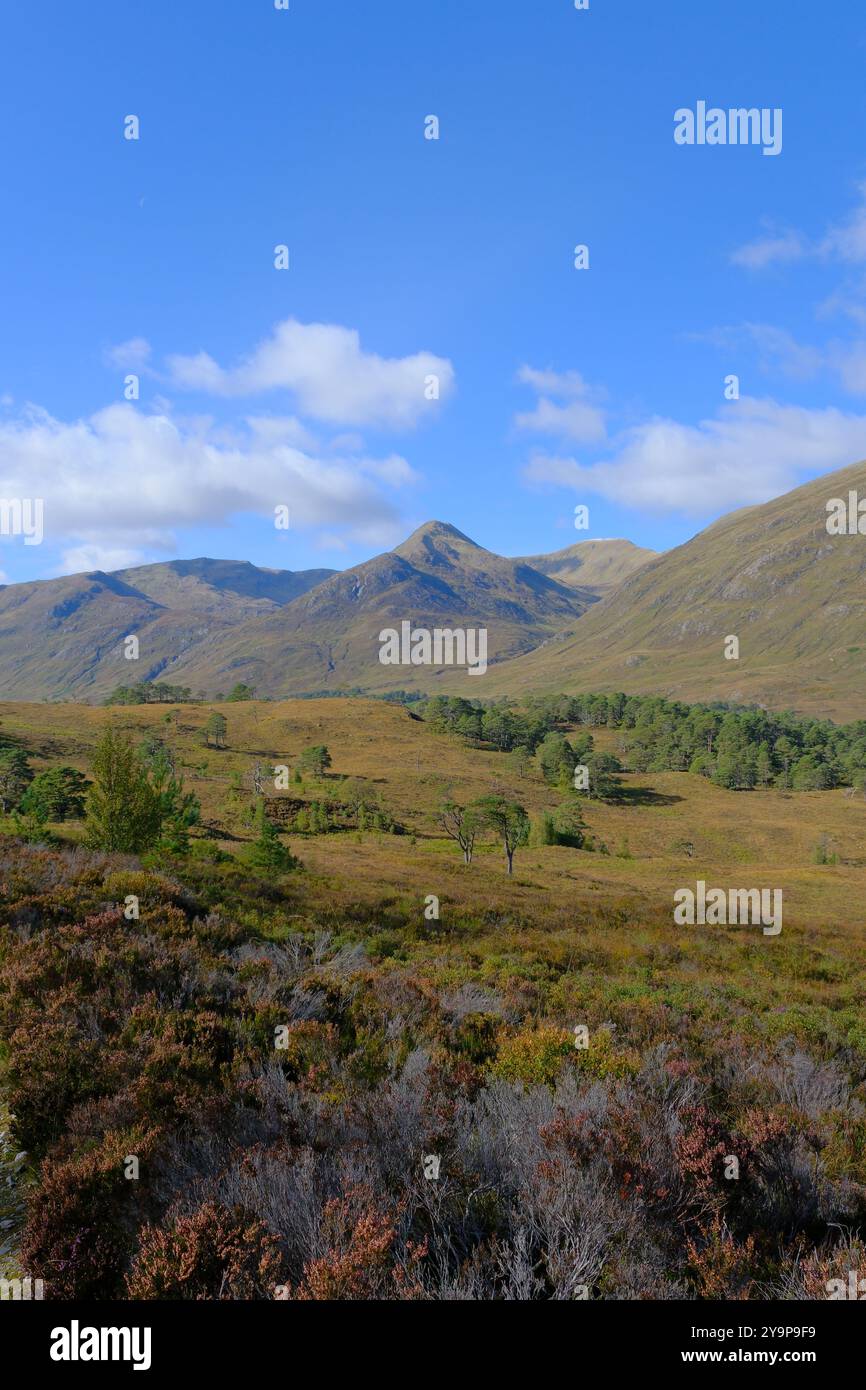 Glen affric lodge hi-res stock photography and images - Alamy