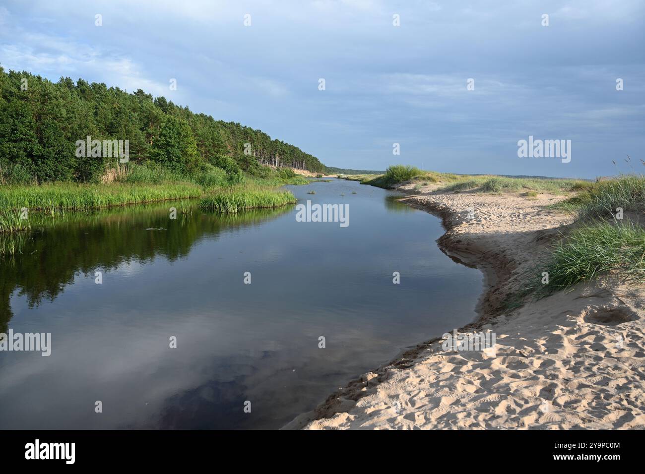Gulf of Riga with sandy beaches and parallel dune ridges. Coastal sand ...