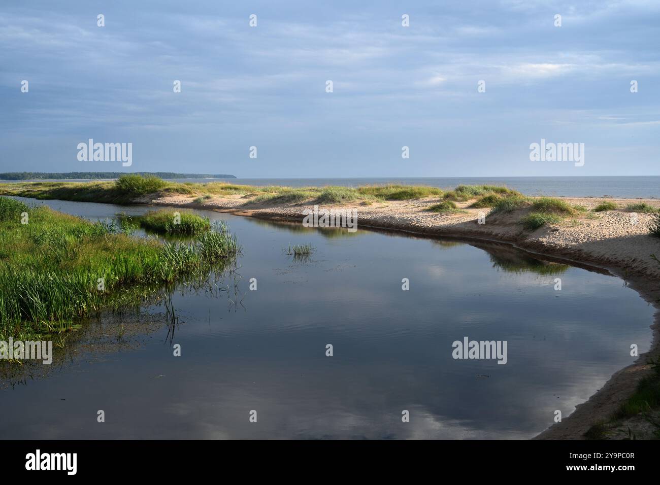 Gulf of Riga with sandy beaches and parallel dune ridges. Coastal sand ...