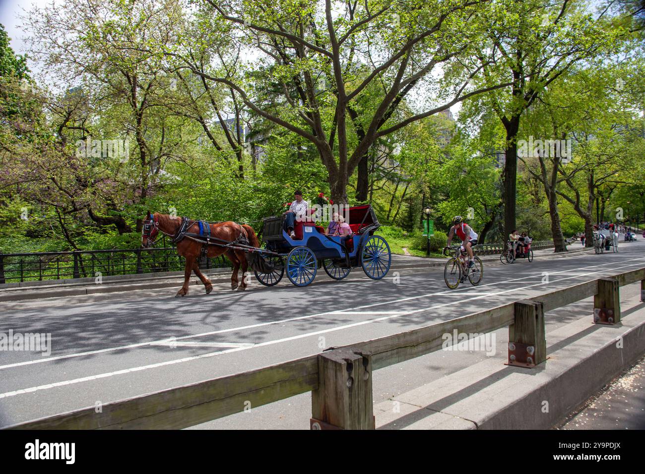 Carriage rides and bicyclists in Central Park New York Stock Photo - Alamy