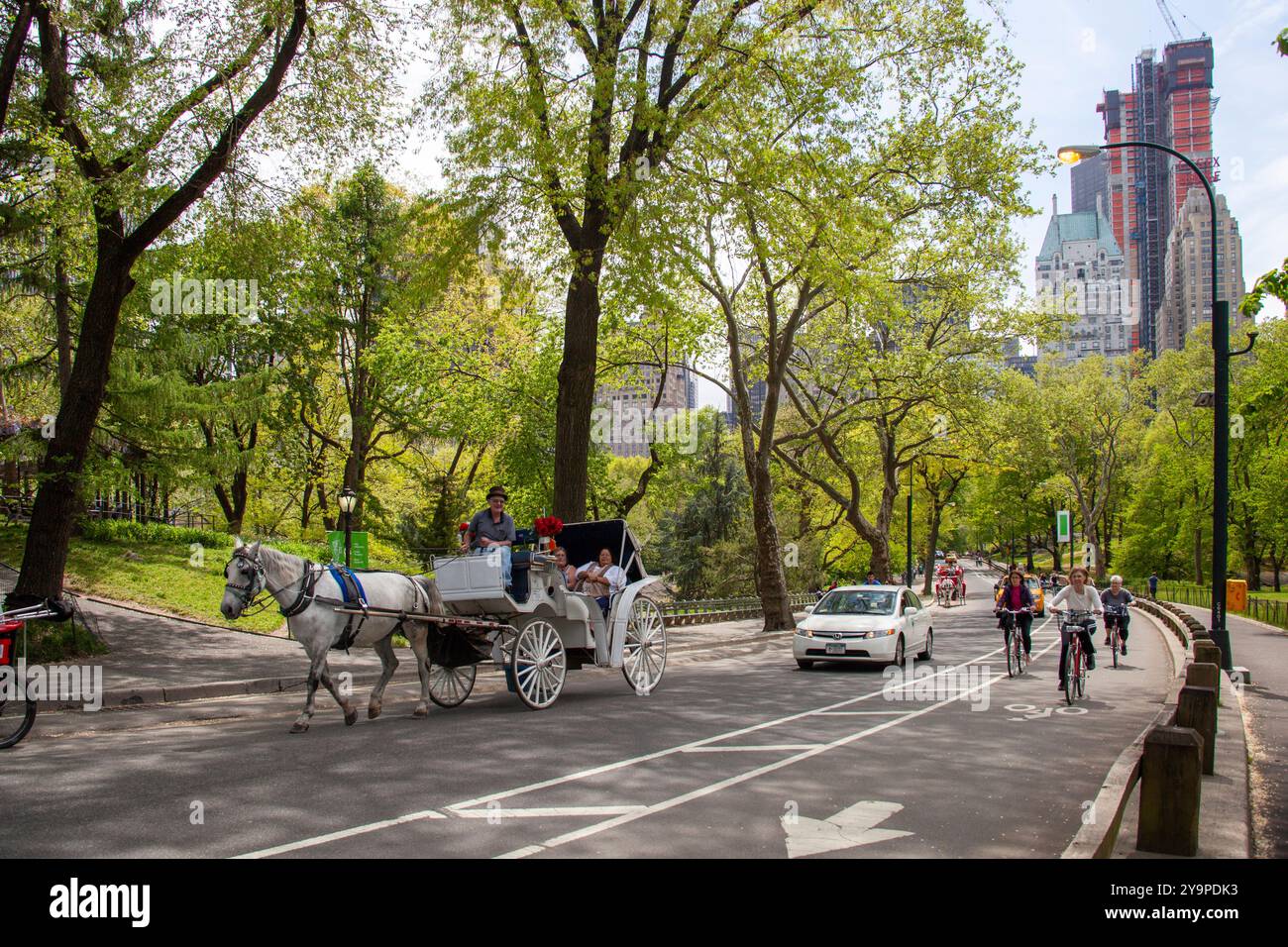 Carriage rides cars and bicyclists in Central Park NYC Stock Photo - Alamy