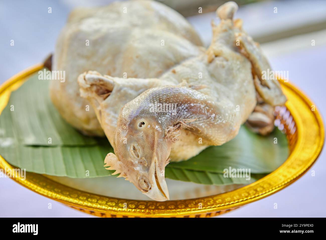 Chicken sacrificial offering in god worship on plate Stock Photo - Alamy