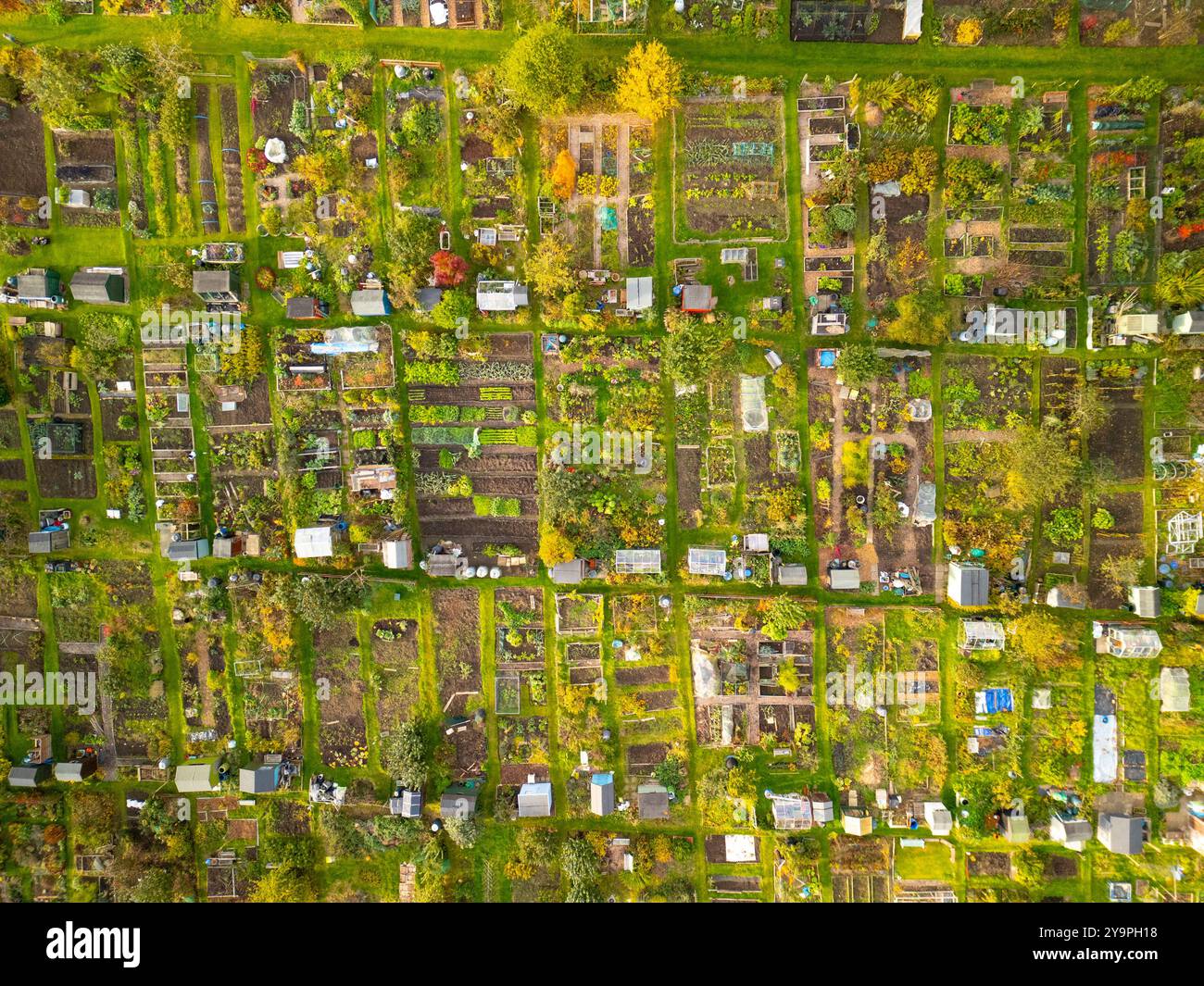 Aerial view of Inverleith allotments Edinburgh, Scotland, UK Stock ...