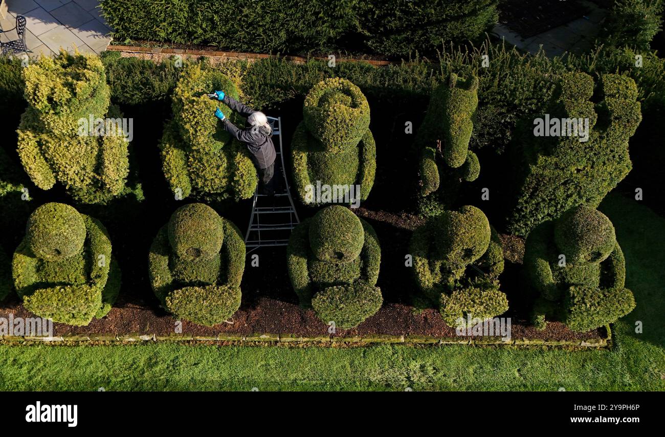 Gardener Janice Ackerley trims the topiary hedge of the yew chess set ...