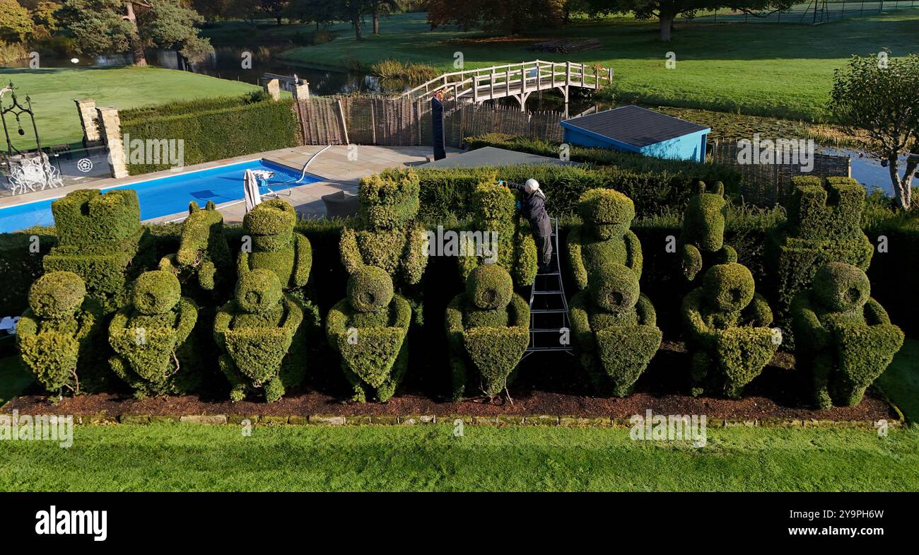Gardener Janice Ackerley trims the topiary hedge of the yew chess set ...