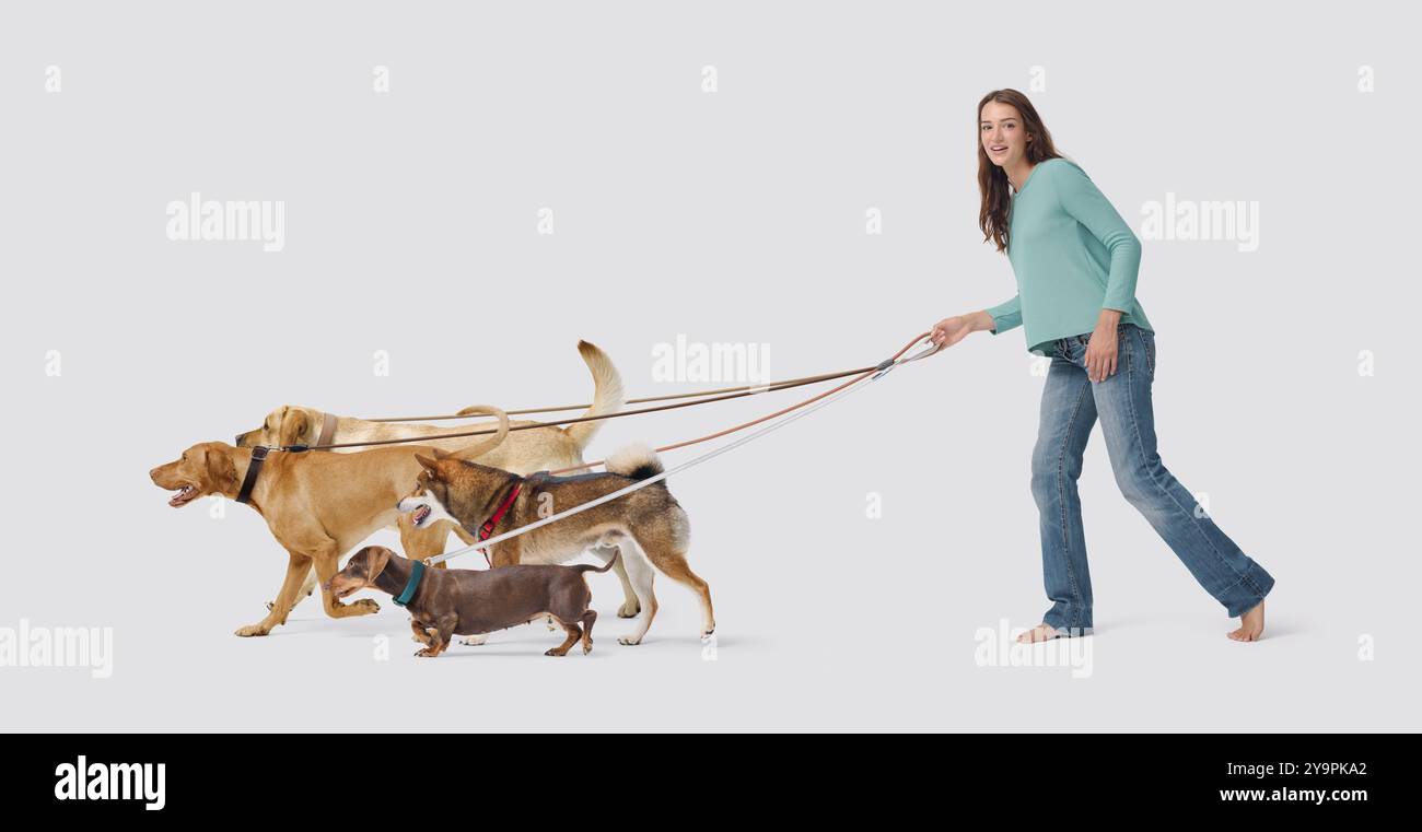 Happy young dog sitter walking dogs of different breeds, they are ...