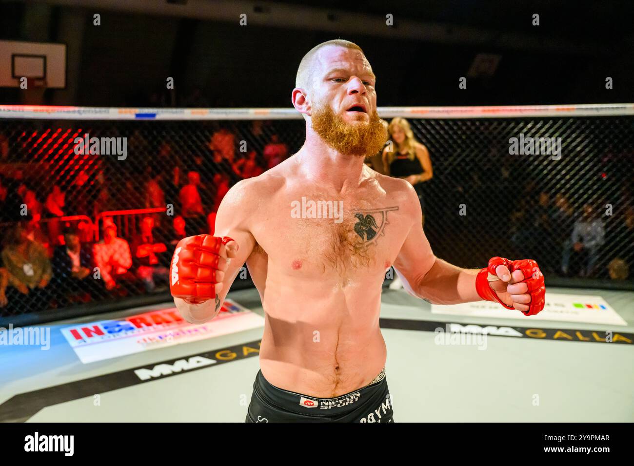 Simon seiler hi-res stock photography and images - Alamy