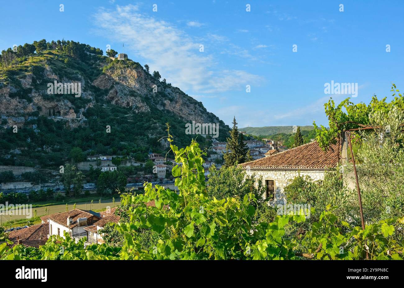 The historic Kalaja Castle Hill in Berat viewed from the Gorica quarter ...