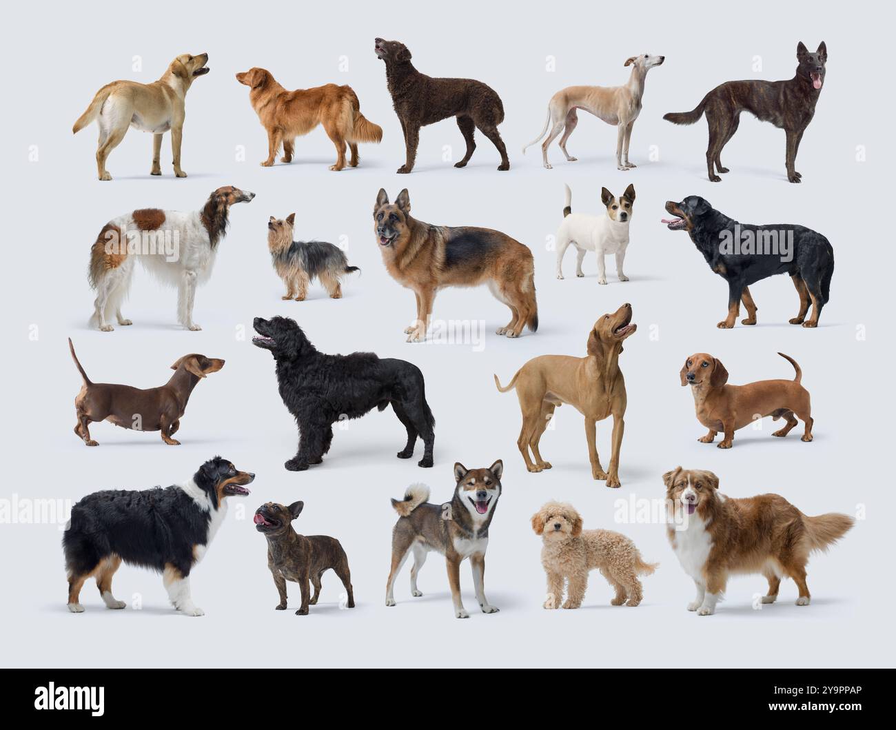 Body differences hi-res stock photography and images - Alamy