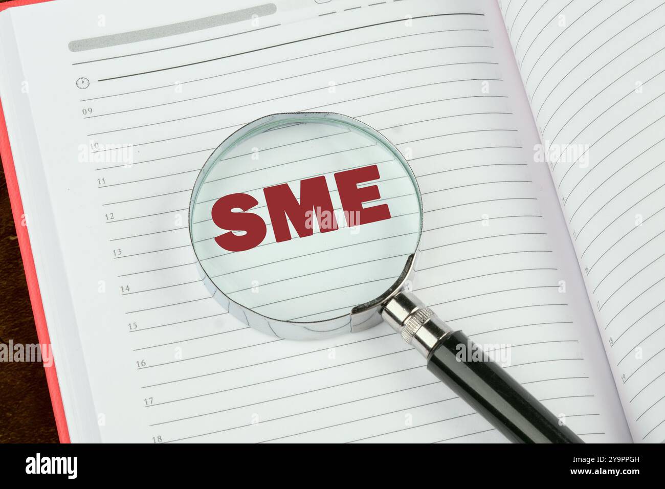 Text SME SUBJECT MATTER EXPERT written in a notebook through a ...