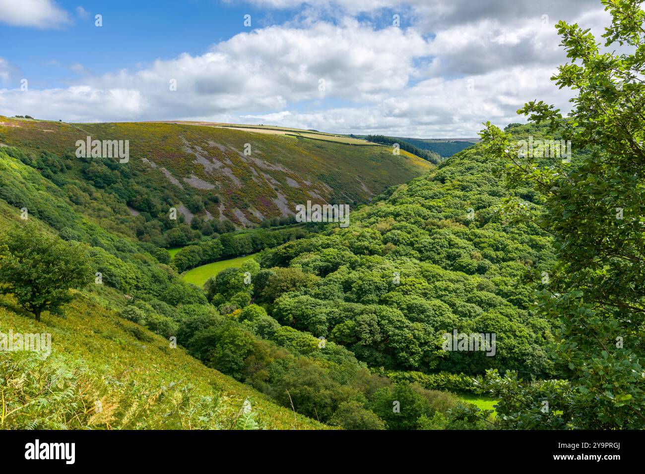 The view over the East Lyn River in the Brendon Valley from Ashton ...