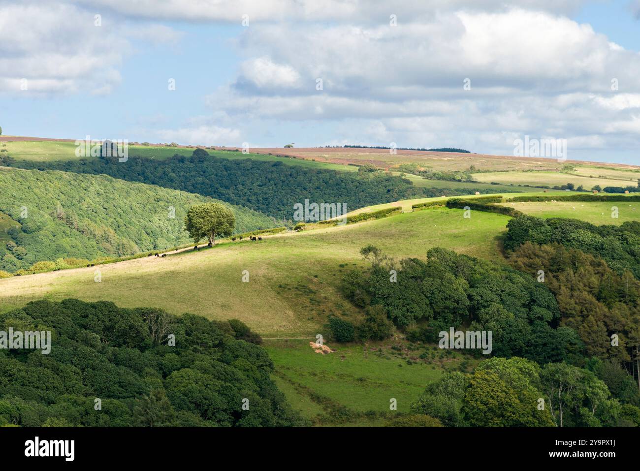 The hills above the Badgworthy Water Valley near Malmsmead on the Devon ...