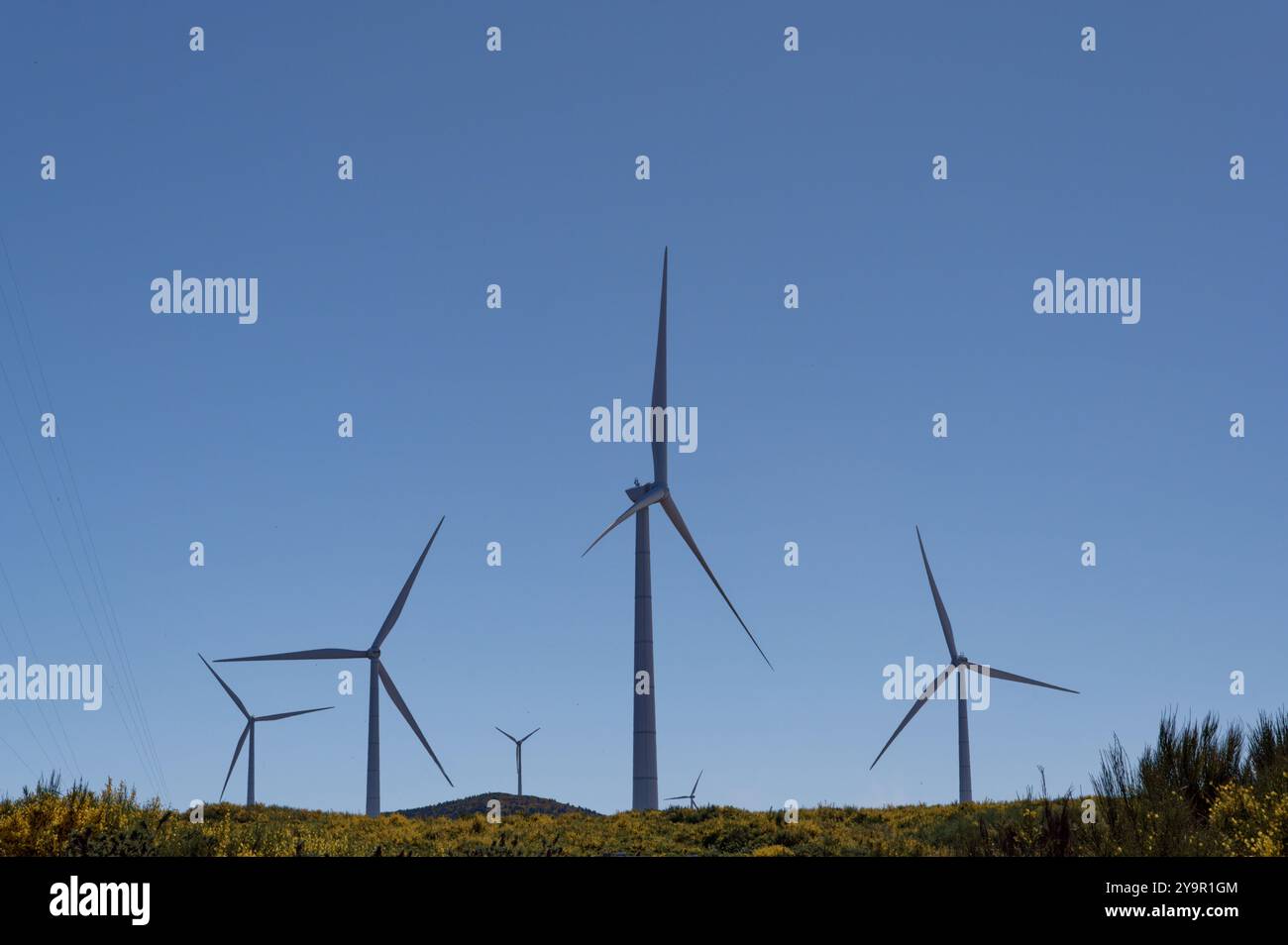Wind turbines spinning above vibrant madeira hills under clear blue ...