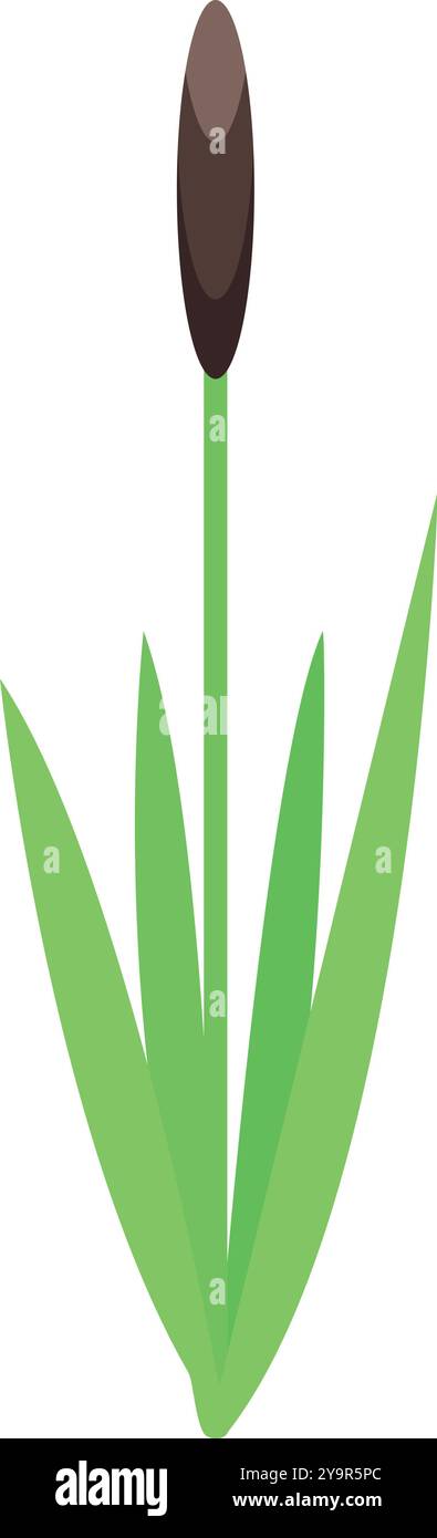 Minimalist vector illustration featuring a single green bulrush growing ...