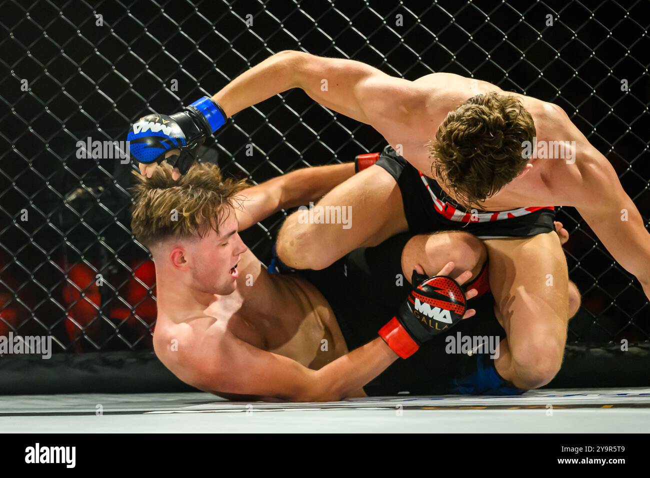 David White vs. Bertman Frederiksen Preliminary Card | Lightweight ...