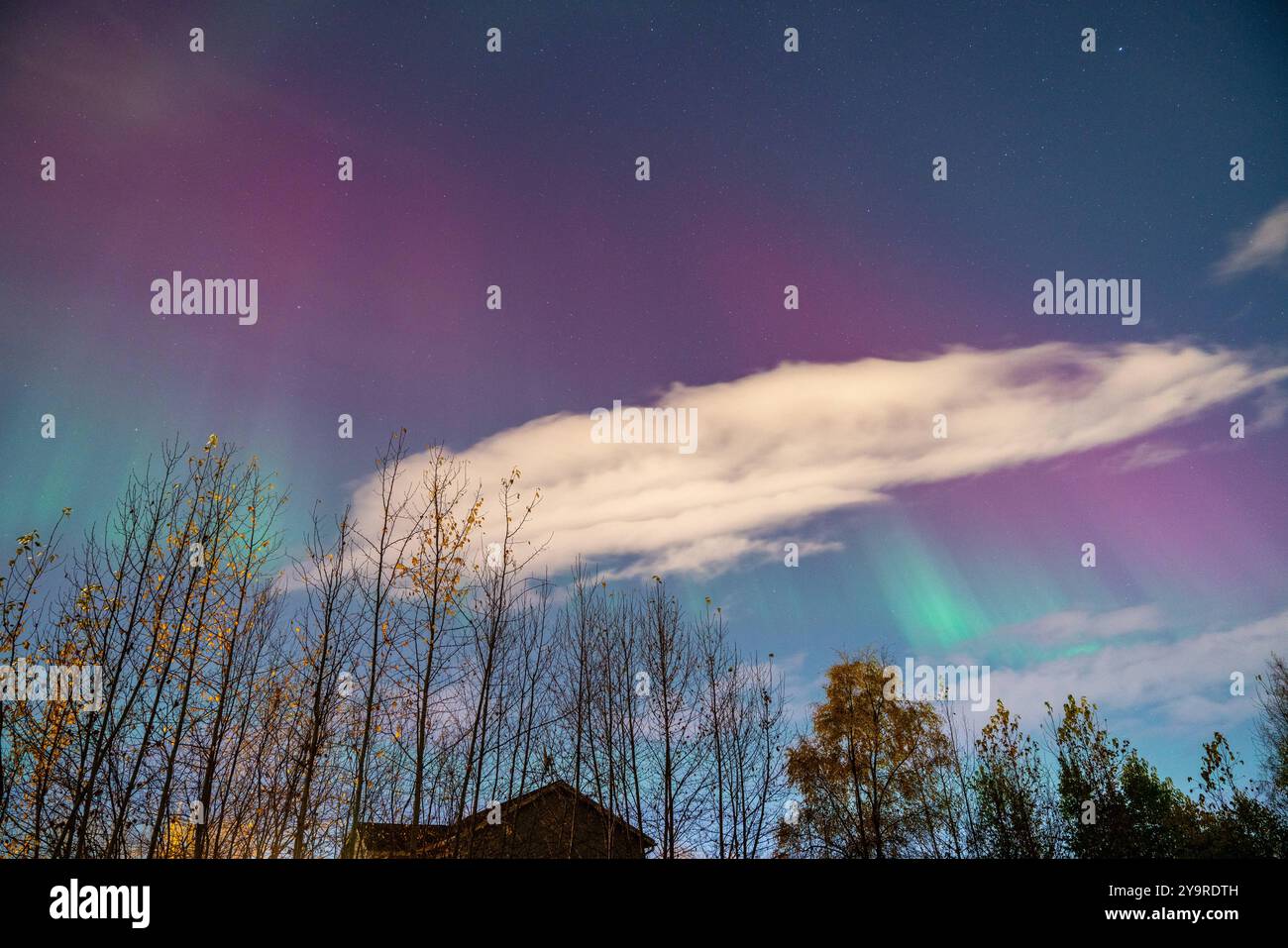 Major Aurora Display Across The Alaska The northern lights aurora ...