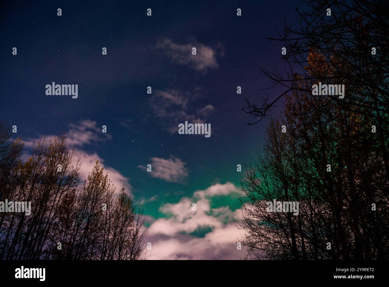 Major Aurora Display Across The Alaska The northern lights aurora ...