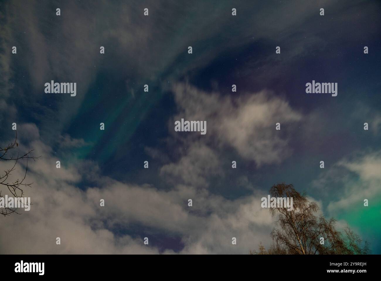 Major Aurora Display Across The Alaska The northern lights aurora ...