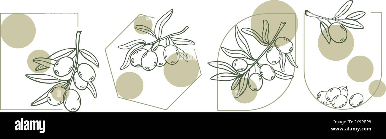 Olive branch labels set Vector graphics Stock Vector Image & Art - Alamy