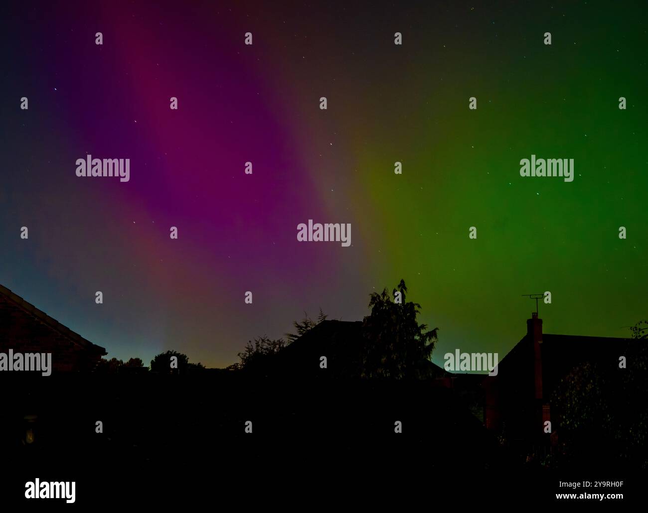 Northern Lights green and purple hues illuminating the night sky with ...