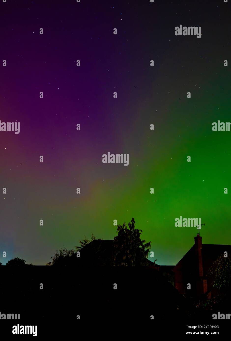 Northern Lights green and purple hues illuminating the night sky with ...