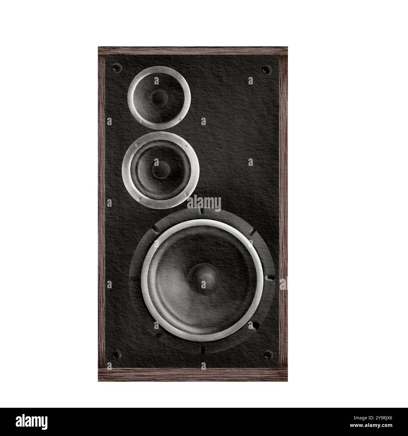 Black acoustic speaker front view for sound reinforcement at concerts ...