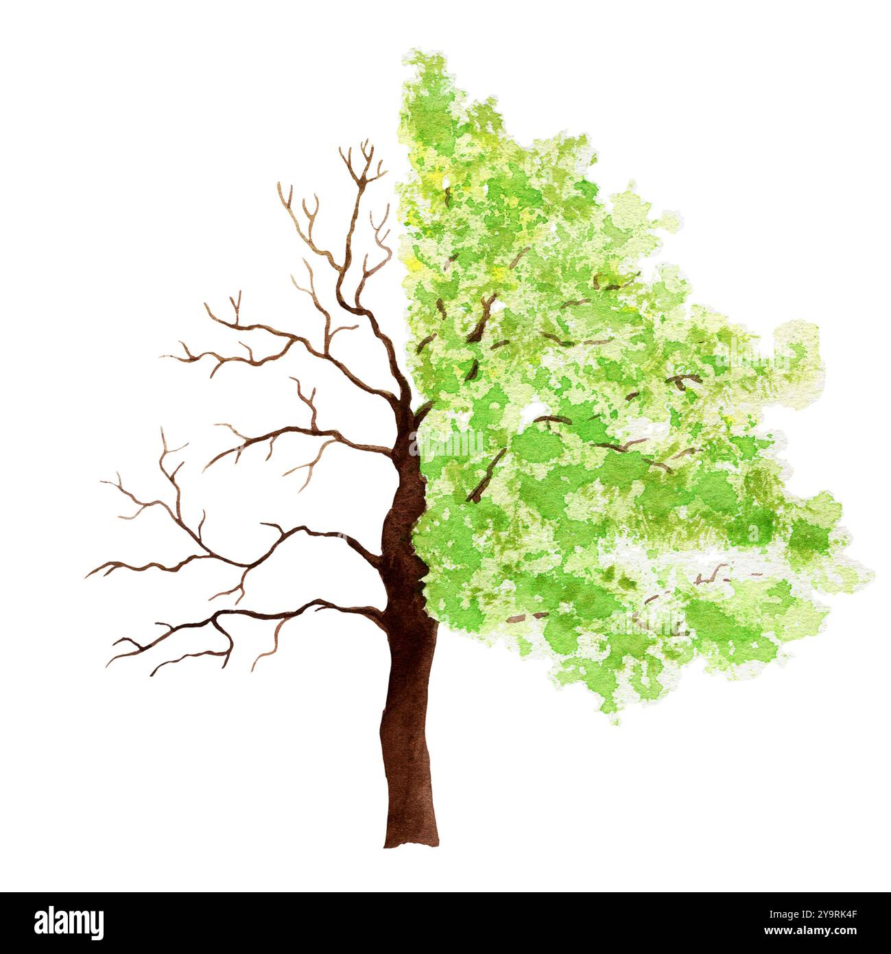 Tree is half green and half leafless, symbol of planet protection ...