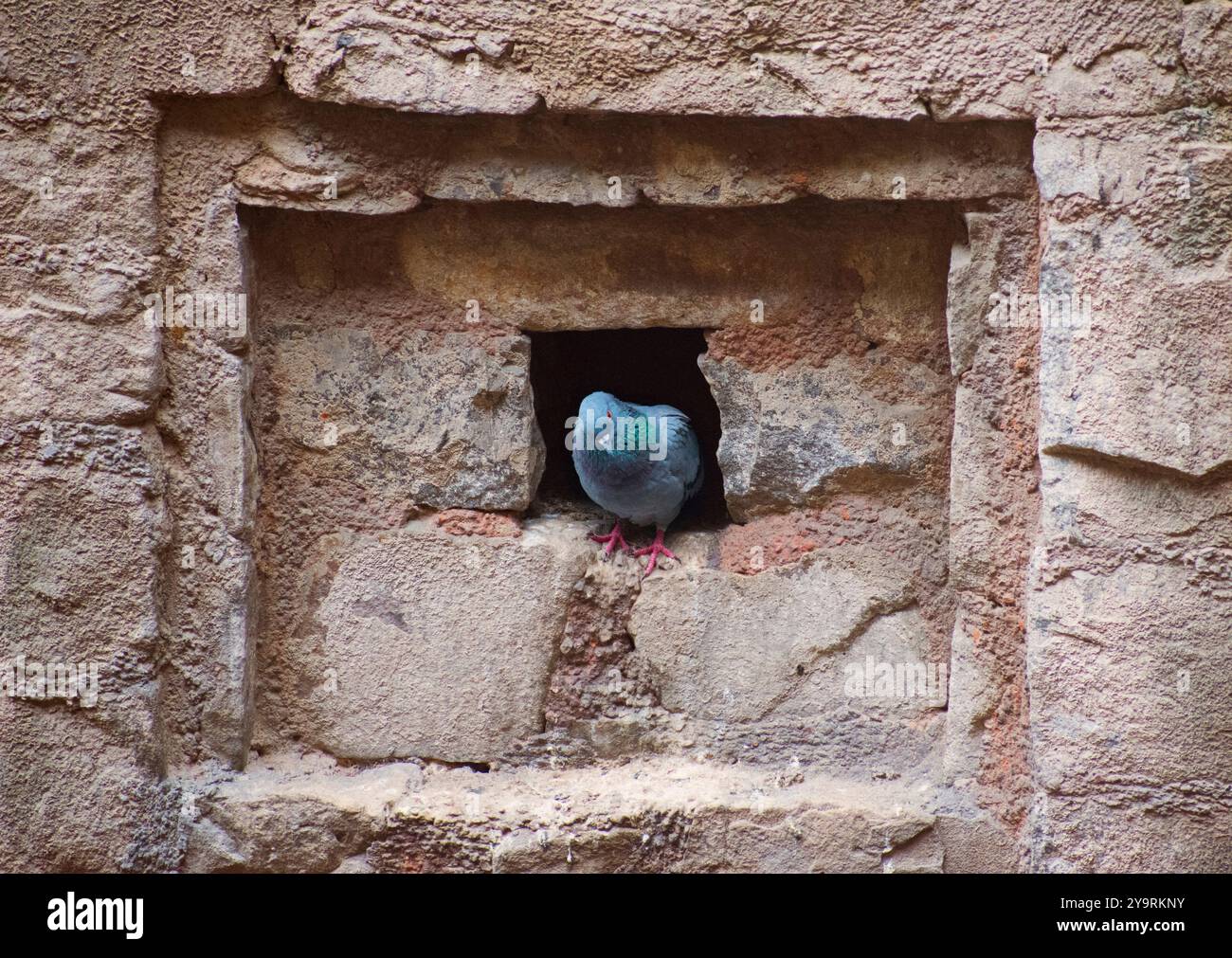 Terracotta bricks hi-res stock photography and images - Alamy