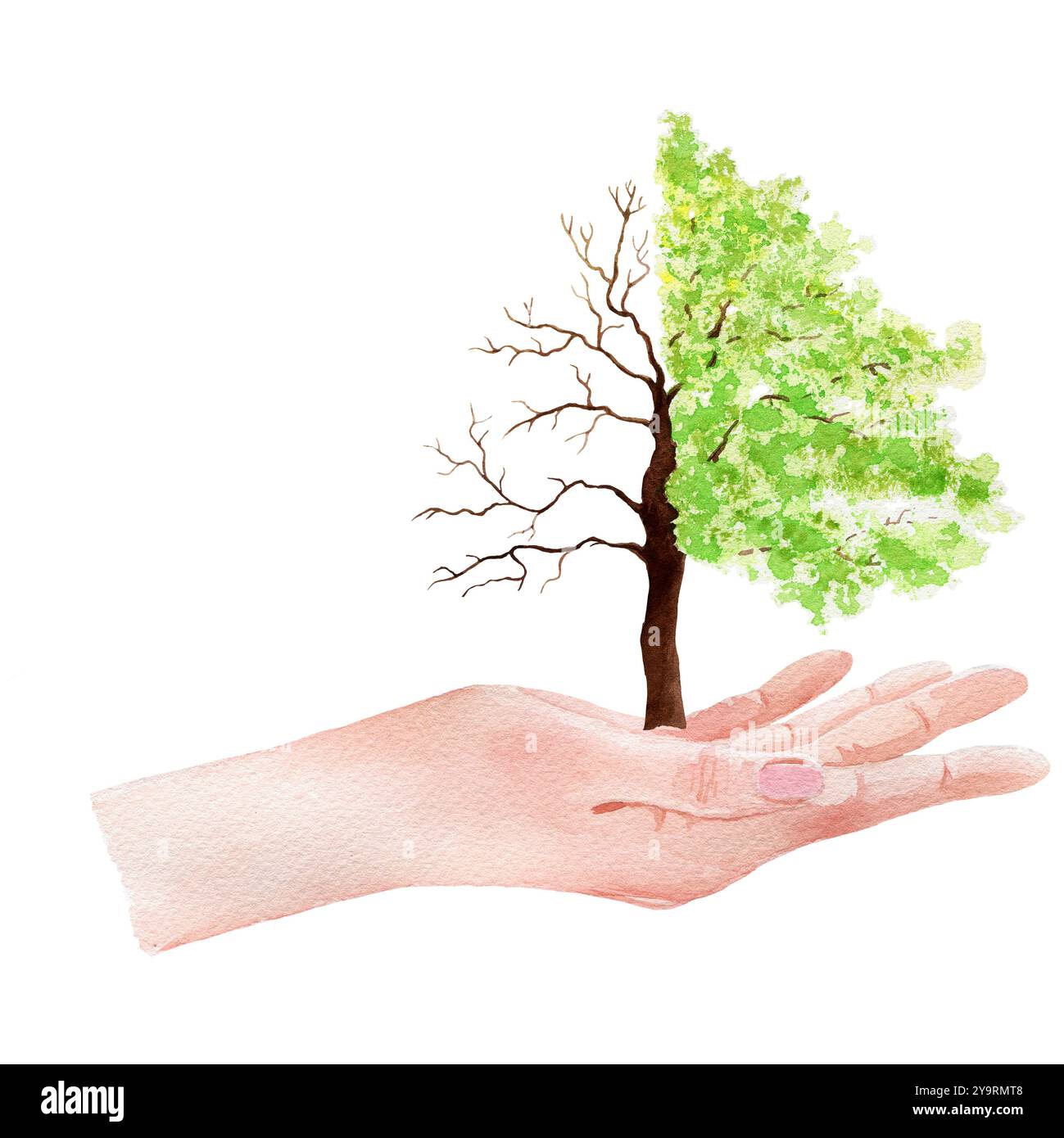 Hand turned palm up and half green tree Watercolor illustration of ...