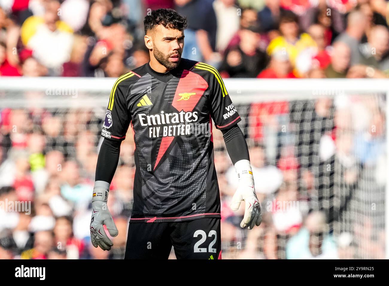 LONDON, ENGLAND - OCTOBER 5: Arsenal FC goalkeeper David Raya looks on ...