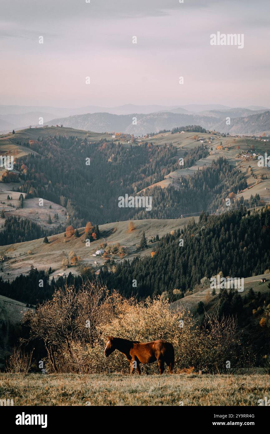 Mountain landscape at dawn with Stock Photo - Alamy