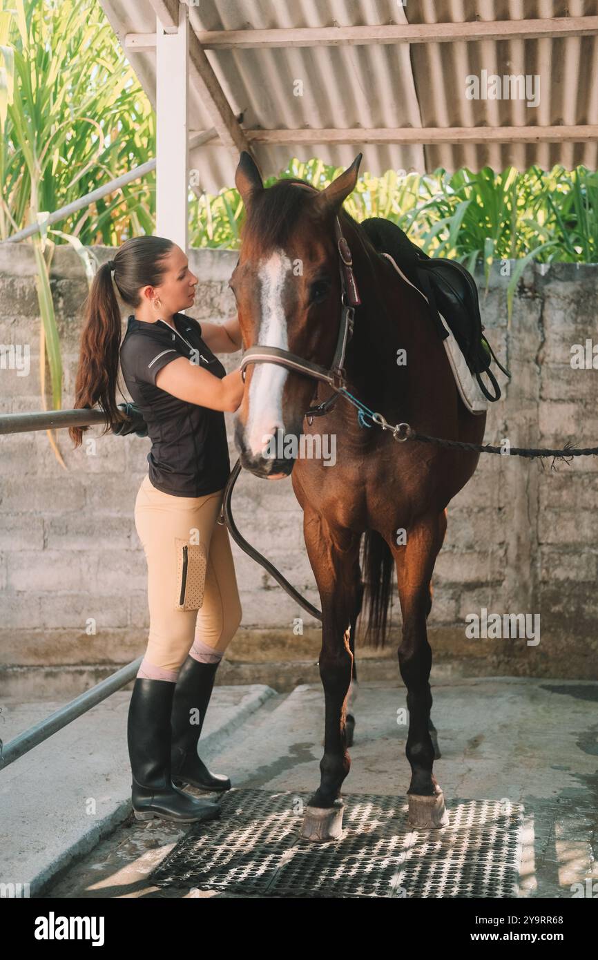 Young woman grooming and saddling a brown horse in a stable, wearing ...
