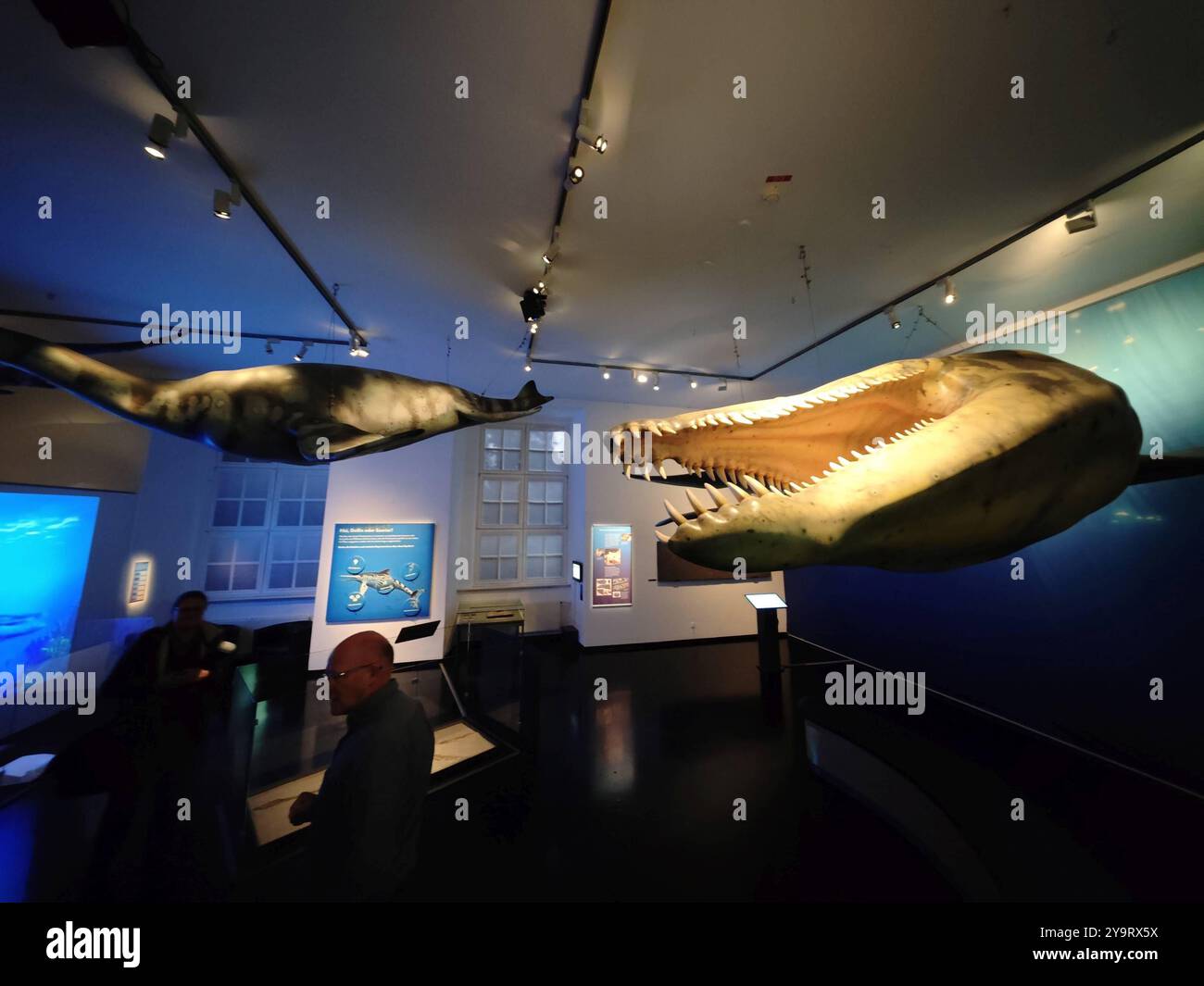 10.10.2024 xkhx Kassel, Naturkundemuseum Ausstellung Giganten der ...