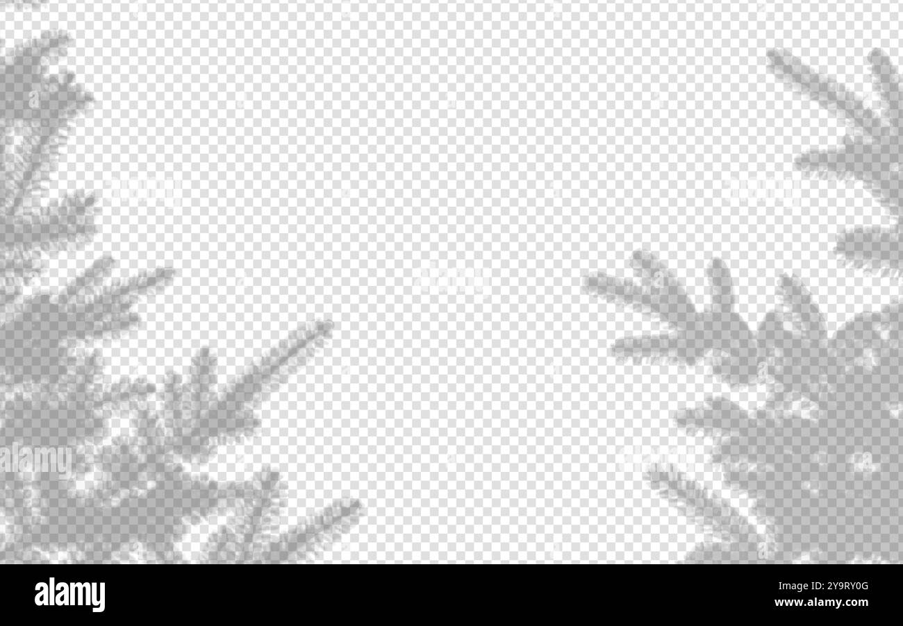 Shadow overlay from a pine tree isolated on a transparent background ...