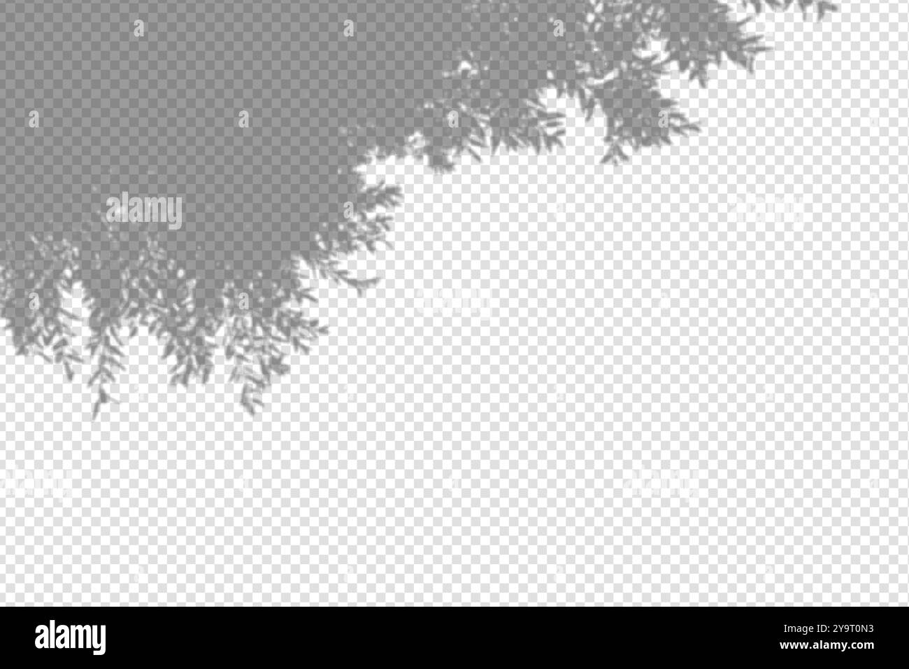 Shadow overlay from a tree branch isolated on a transparent background ...