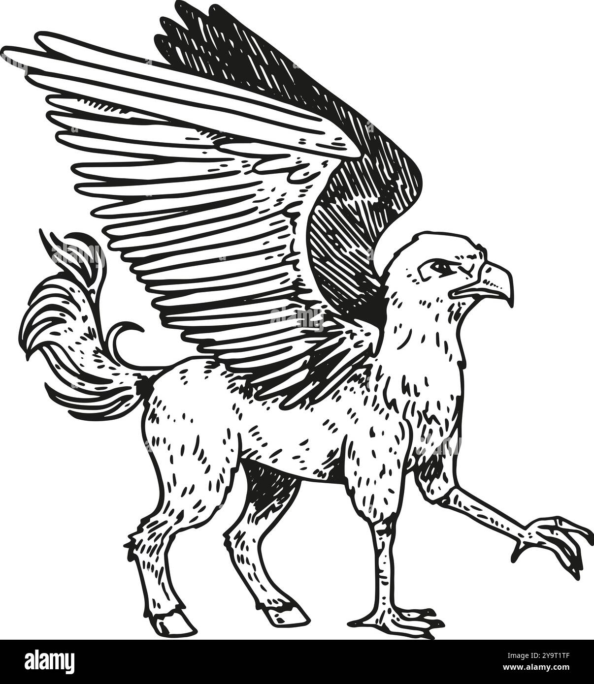 Gryphon - hand drawn illustration of mythological beast in black and ...