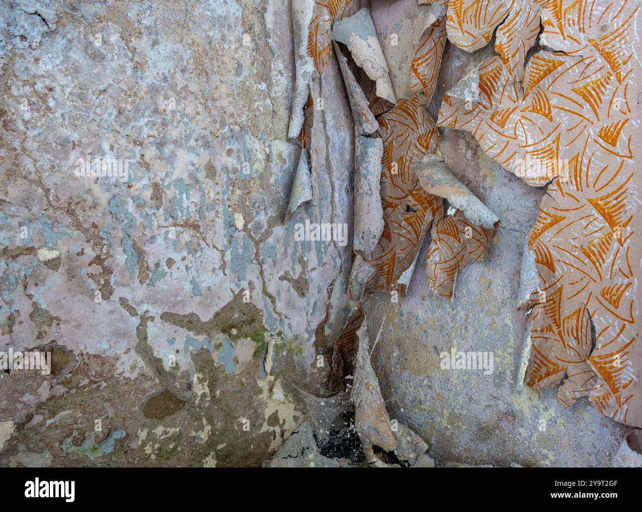 Old peeling wallpaper in an apartment. Time for a renovation Stock ...