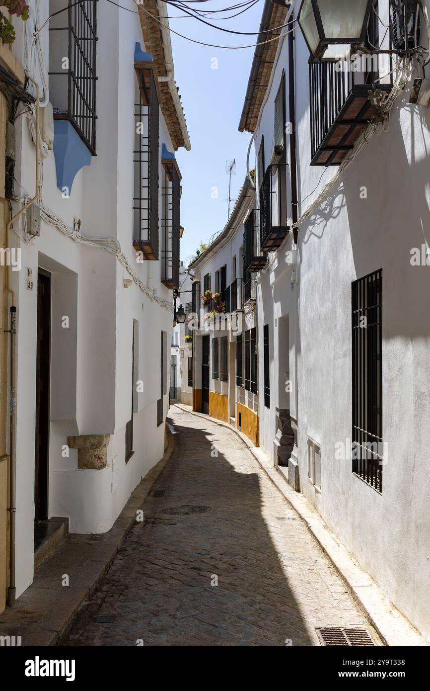 Small street with typical Andalusian style houses in the historic ...