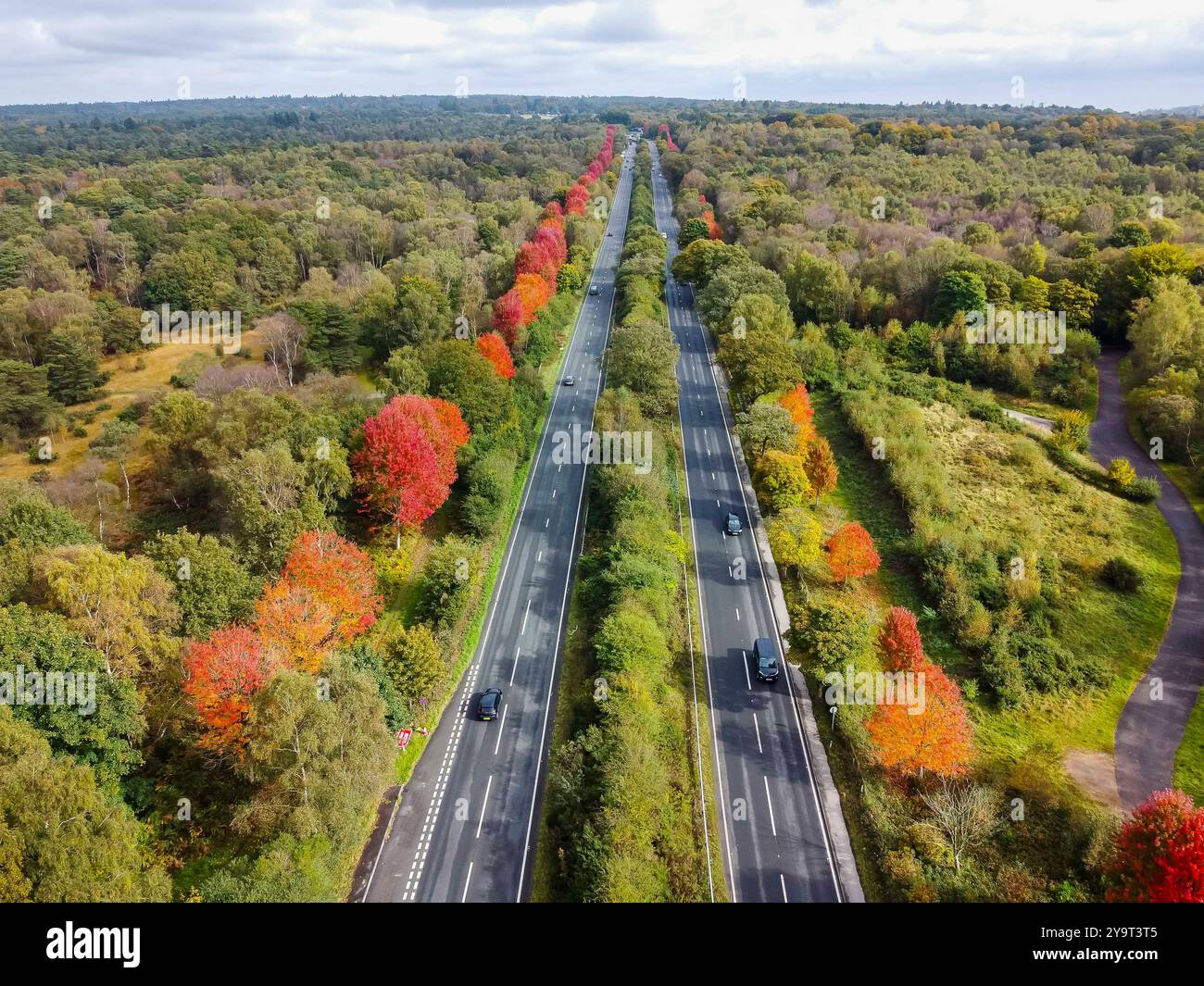 Bramshott Common, Liphook, Hampshire, UK. 11th October 2024. UK Weather ...