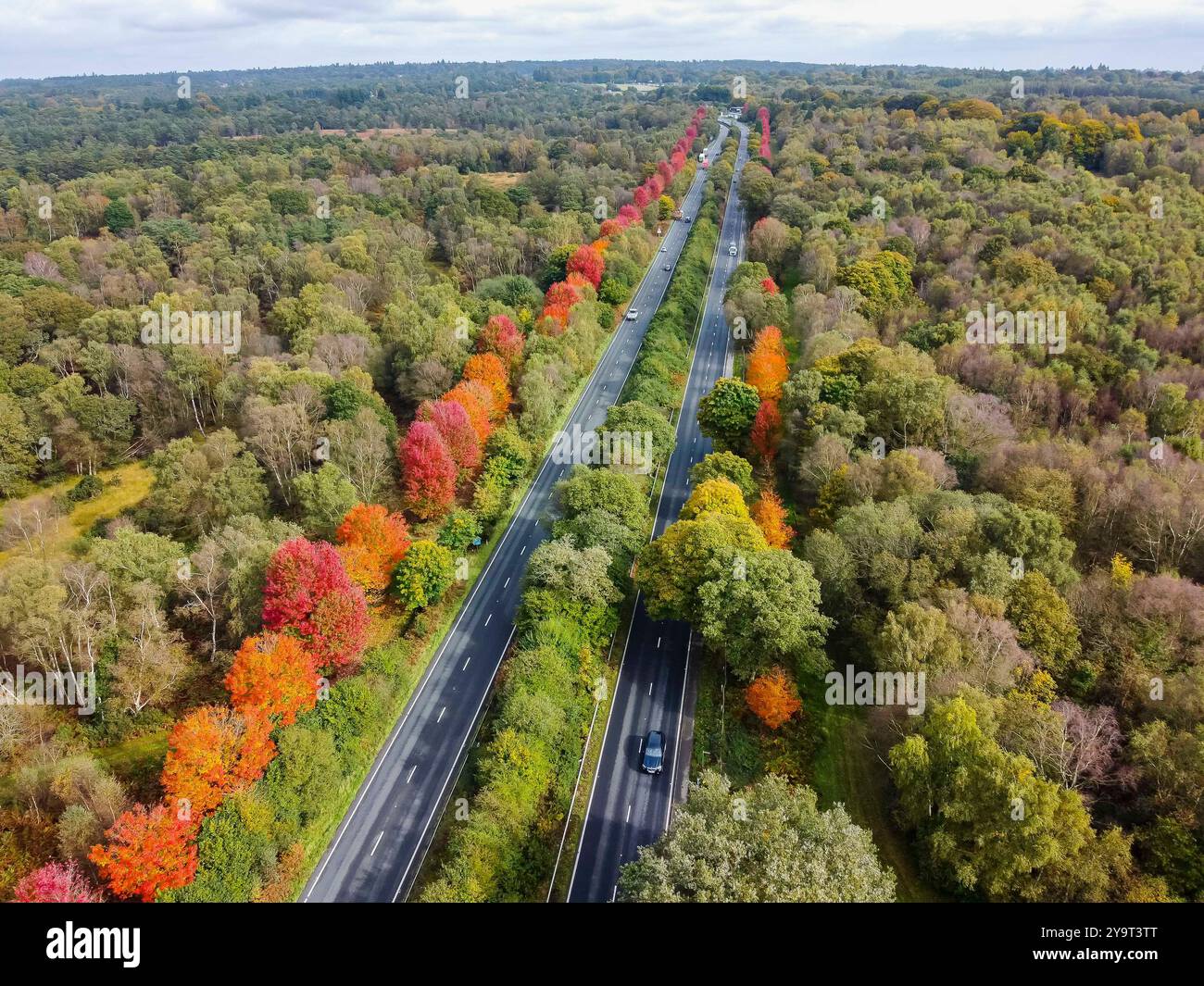 Bramshott Common, Liphook, Hampshire, UK. 11th October 2024. UK Weather ...