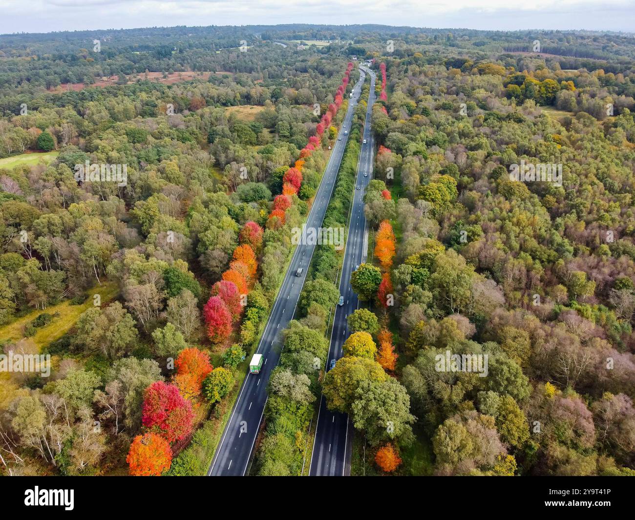 Bramshott Common, Liphook, Hampshire, UK. 11th October 2024. UK Weather ...