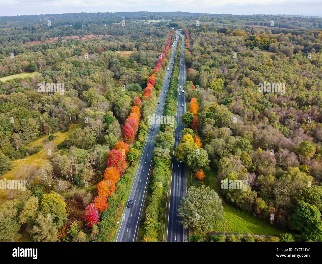 Bramshott Common, Liphook, Hampshire, UK. 11th October 2024. UK Weather ...