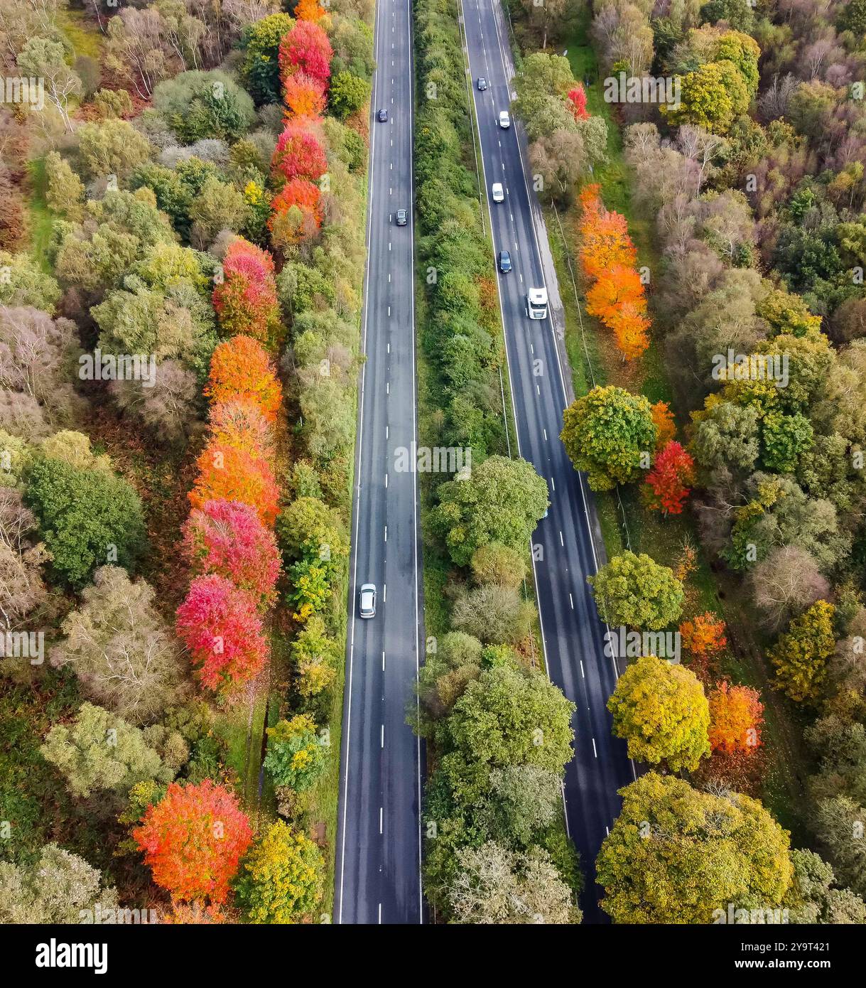 Bramshott Common, Liphook, Hampshire, UK. 11th October 2024. UK Weather ...