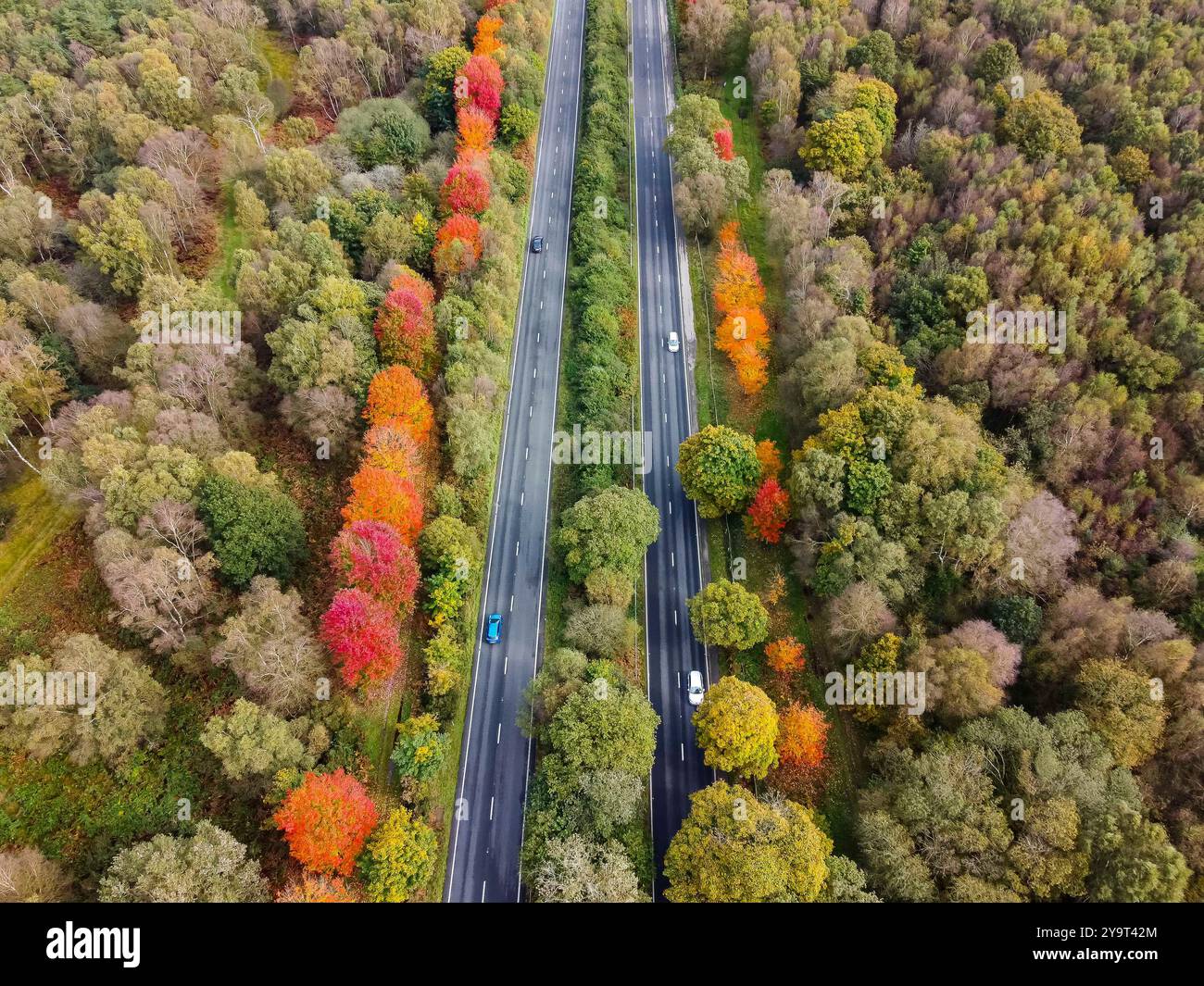 Bramshott Common, Liphook, Hampshire, UK. 11th October 2024. UK Weather ...
