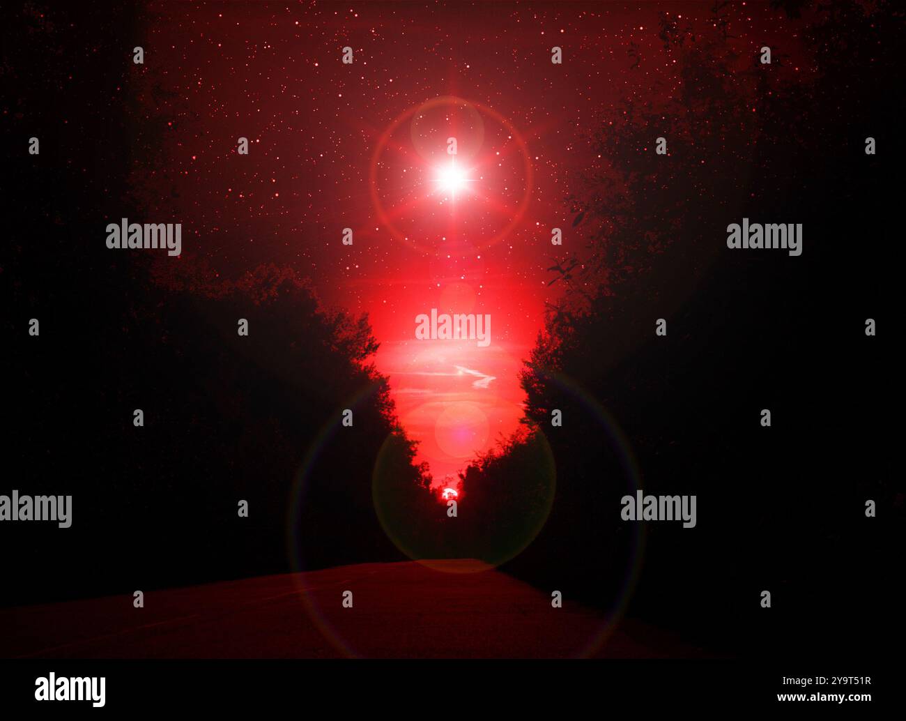 Bright star in the starry red sky. Silhouette of the forest and night ...