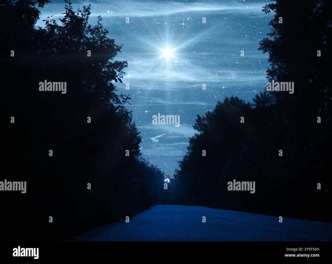 Bright star over the forest and road. Christmas star of the Nativity of ...
